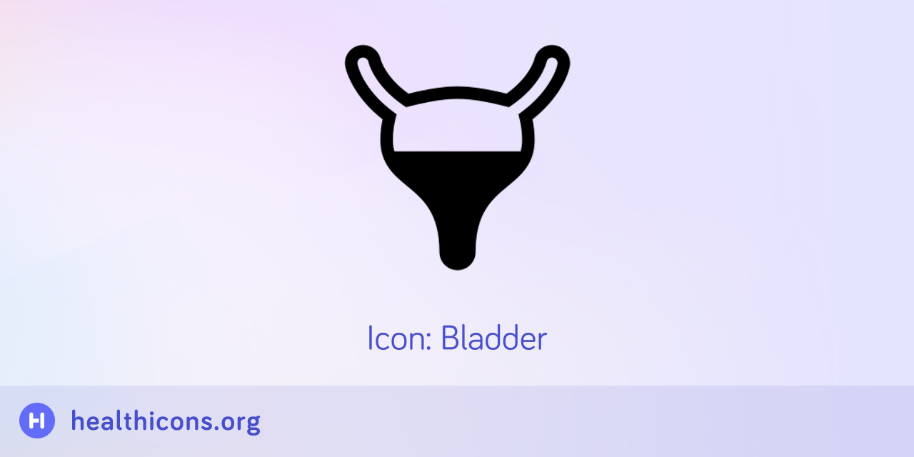 Icon: Bladder